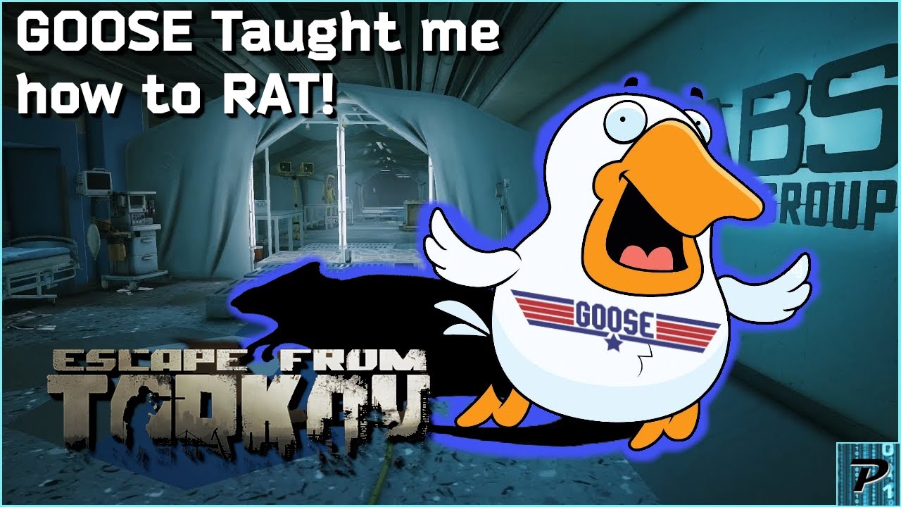 Taught how to rat by a goose - Escape from Tarkov - YouTube