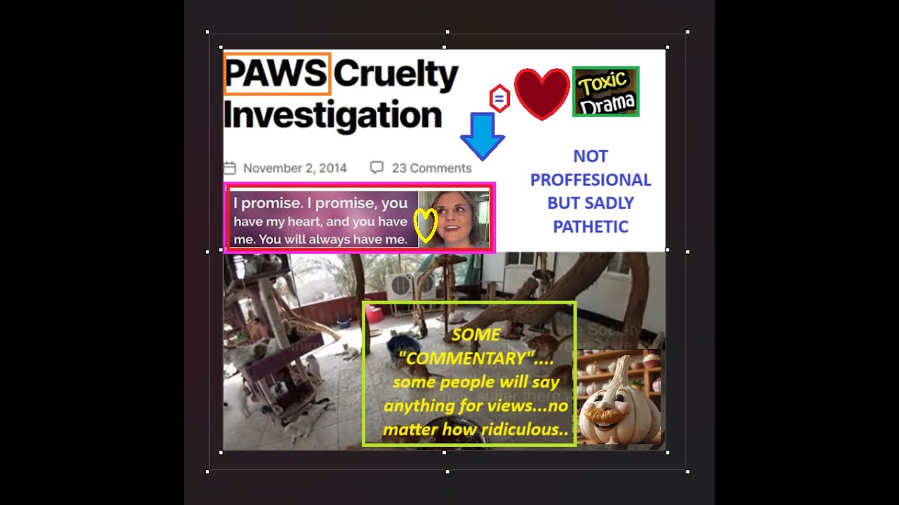 PAWS ORGANIZATION KUWAIT,SHAMEFUL& UNPROFESIONAL! GORLIC 'COMMENTARY ...