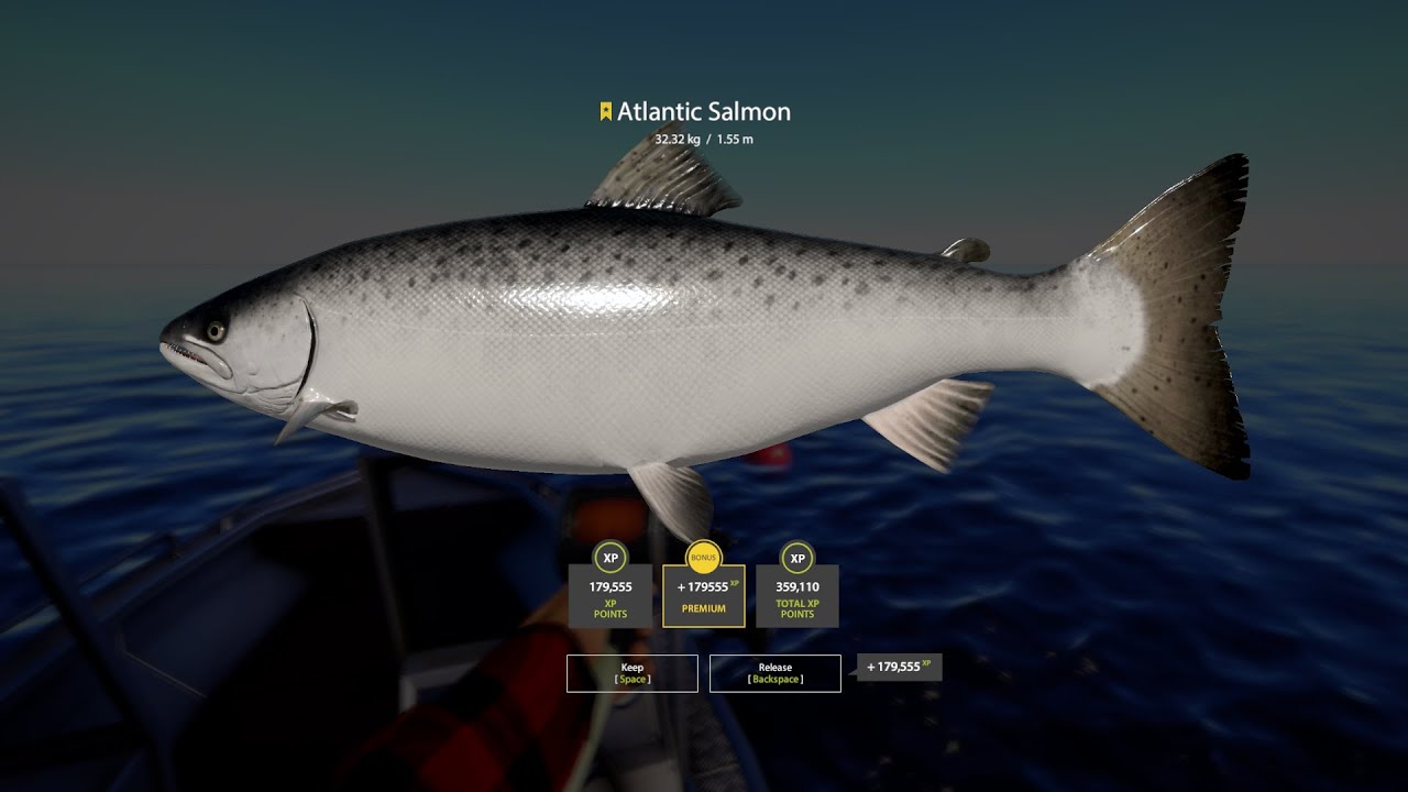TROPHY ATLANTIC SALMON IN LADOGA ARCHIPELAGO! RUSSIAN FISHING 4 - YouTube