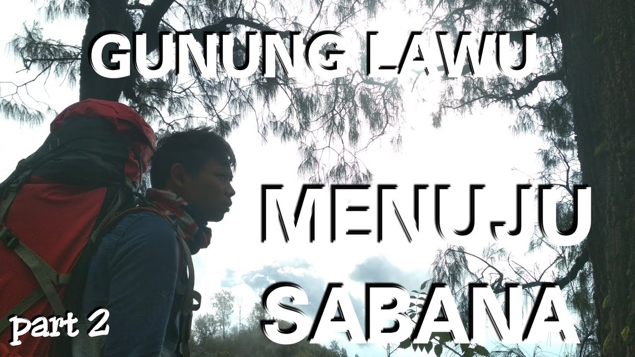 GUNUNG LAWU menuju SABANA "bulak peperangan" part 2 - YouTube