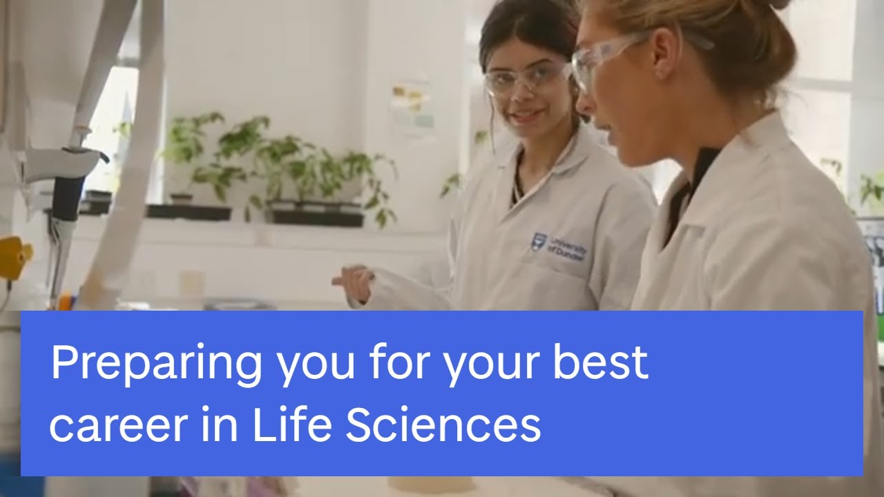 Enhance your employability | School of Life Sciences | University of ...