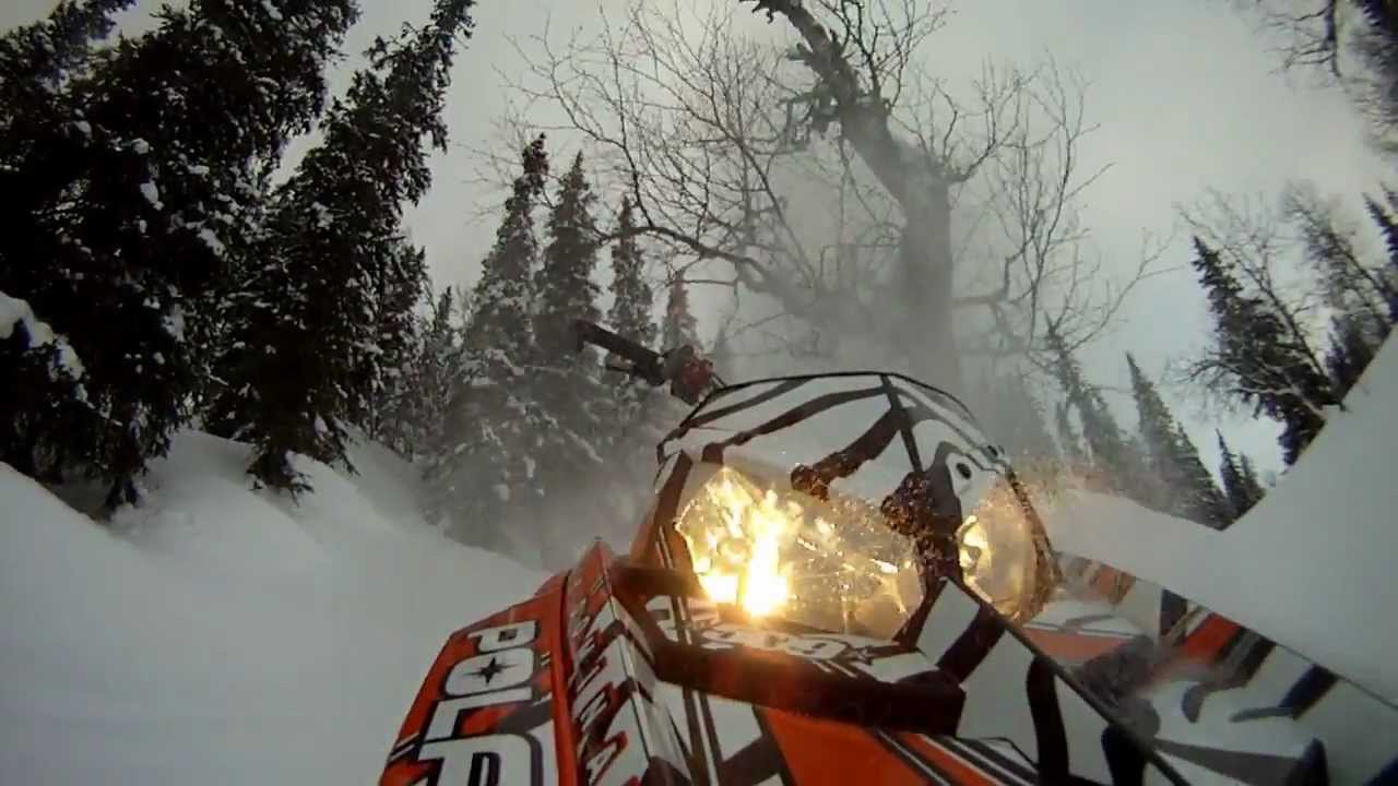 Bashing into a tree. - YouTube