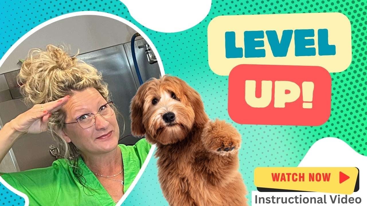 #29 Pet Trim Guide-Workflow-Cheat Sheet - YouTube