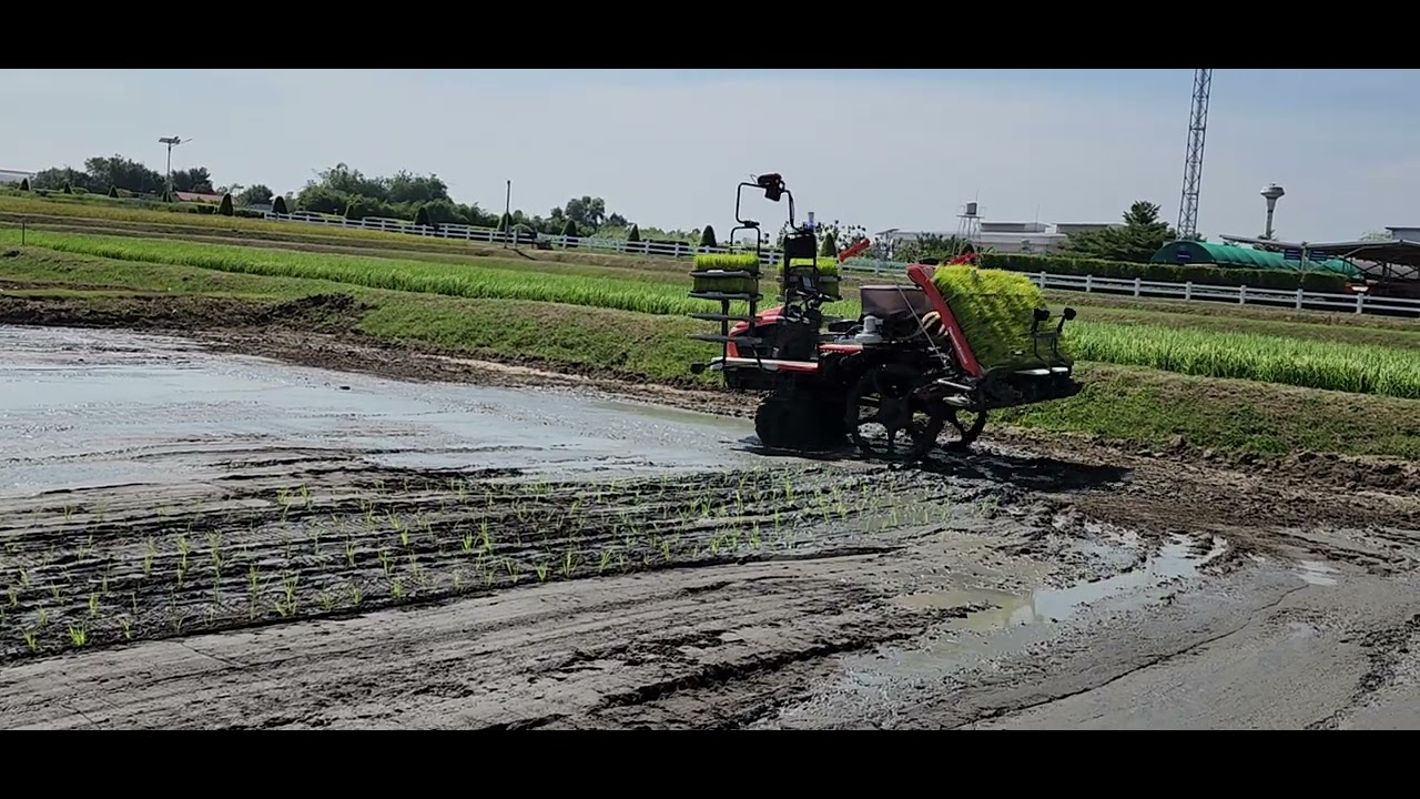 Remote Controlled Rice Transplanter Demonstration - YouTube