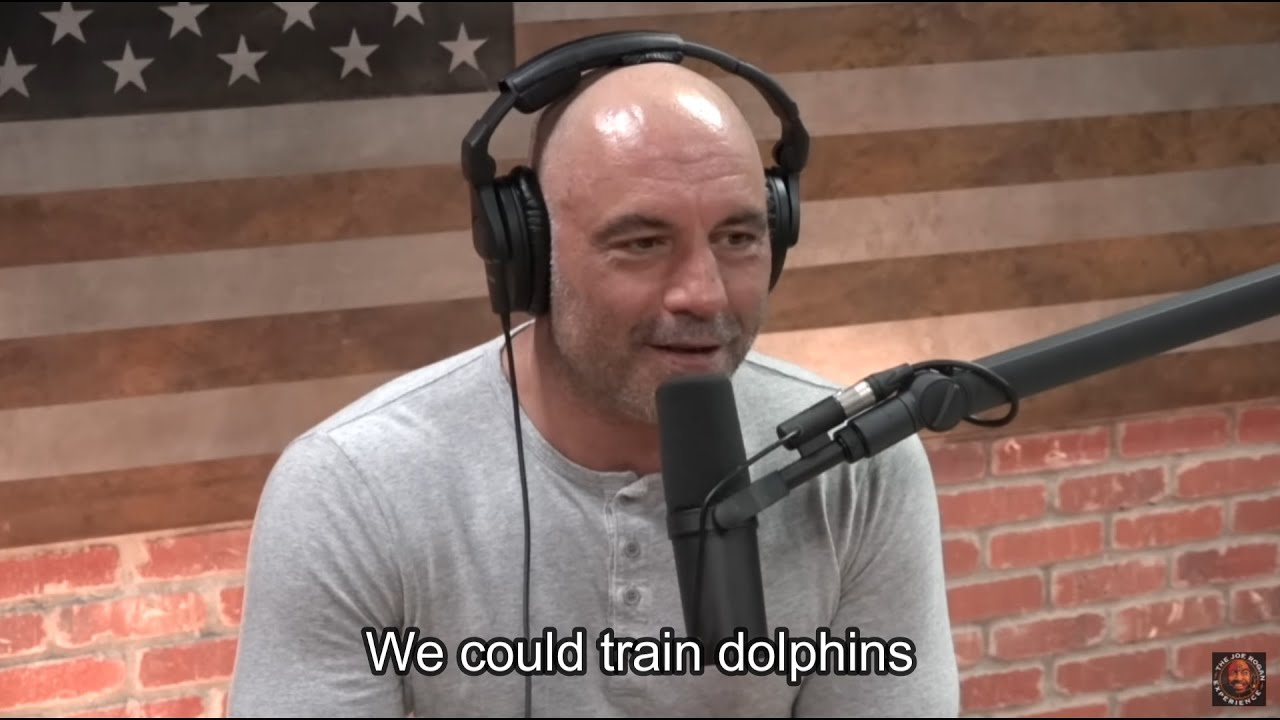 Joe Rogan Discusses the Possibility of an Alien Invasion (feat. Ben ...