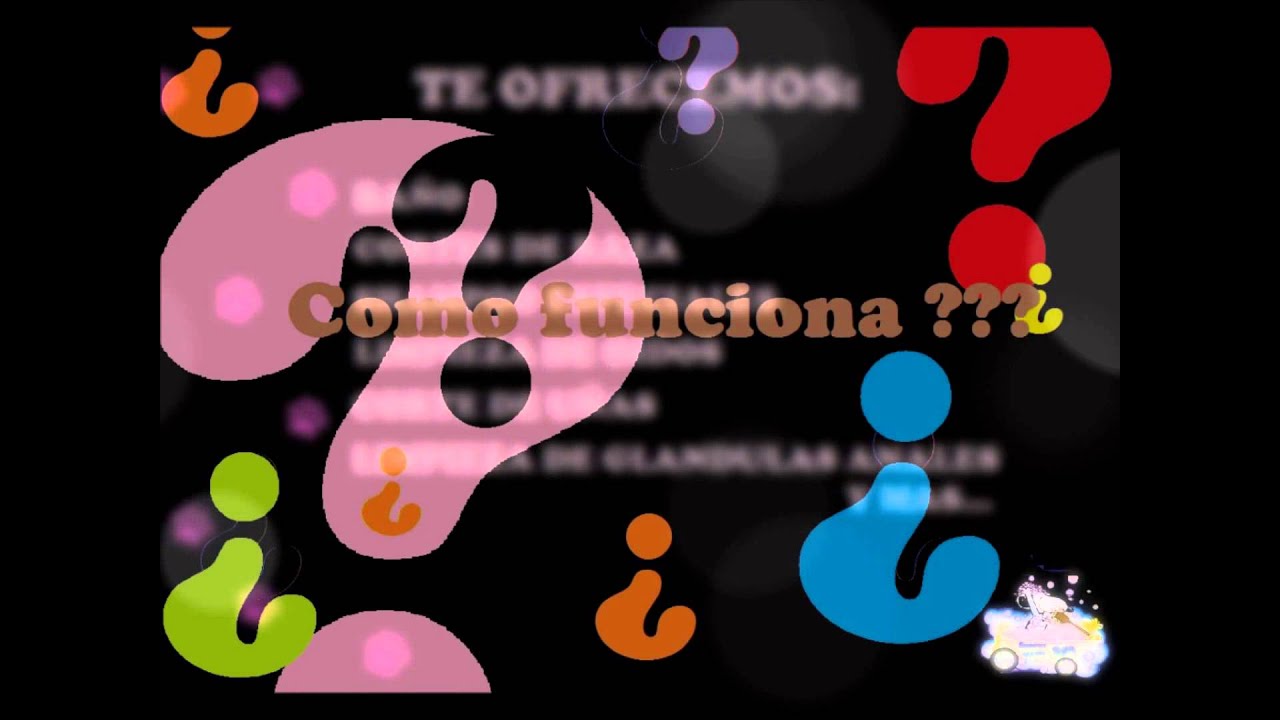Snoopy Movil Spa - Estetica Canina Profesional - Monterrey - YouTube