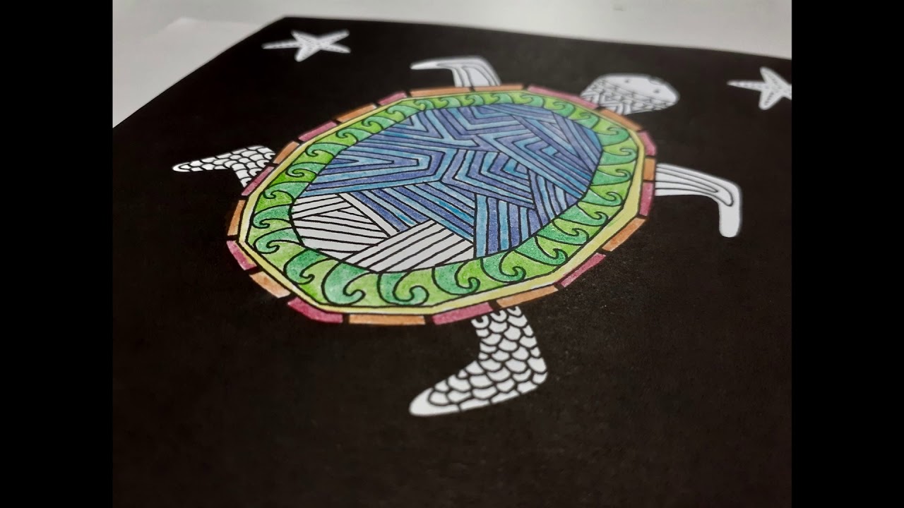 Stop Motion Turtle 1 - YouTube