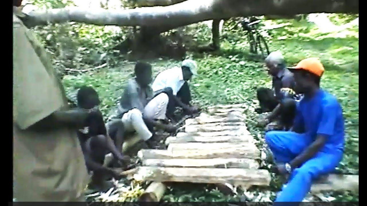 Traditional Zande Music on the Akponingbo - YouTube