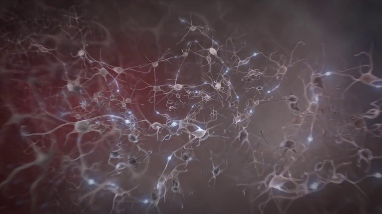 Cum se dezvoltă creierul de mic copil - YouTube