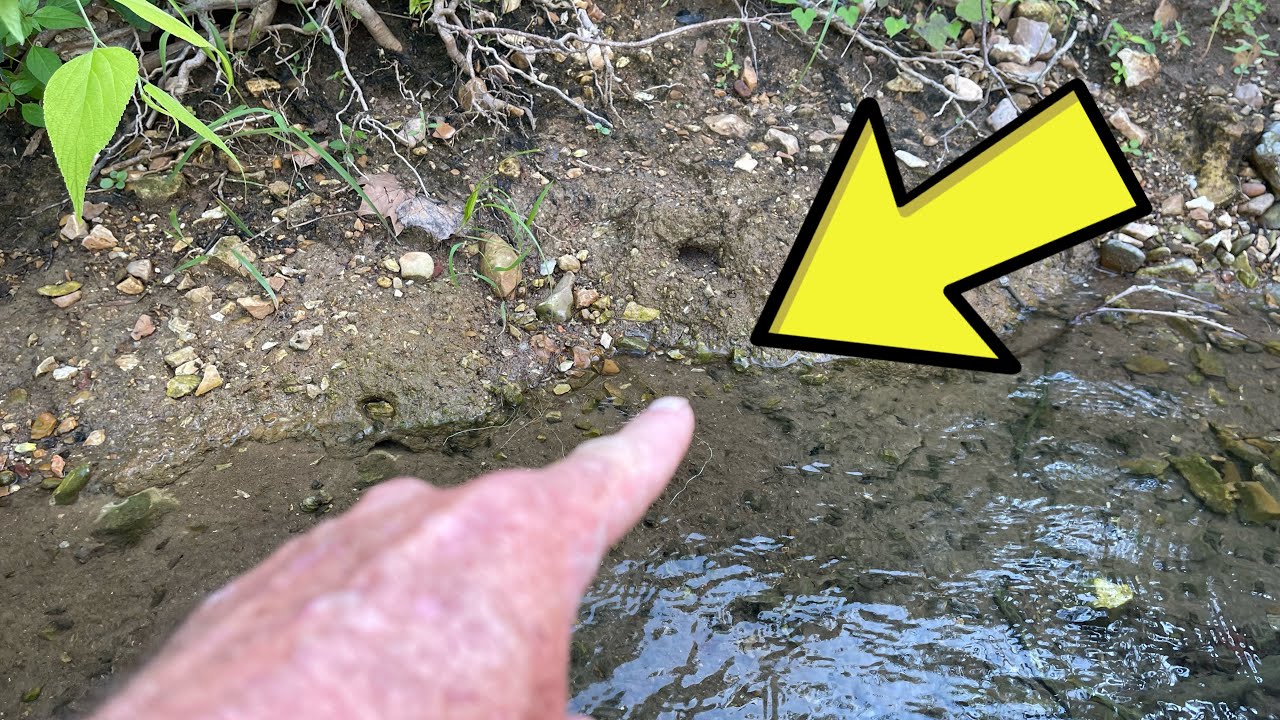 Catch Your Limit Every Day Off MUD Banks…(How/When) - YouTube