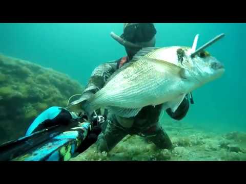 🔱Ψαροντούφεκο στα ρηχά🔱 - shallow water spearfishing by thomas 2018part ...