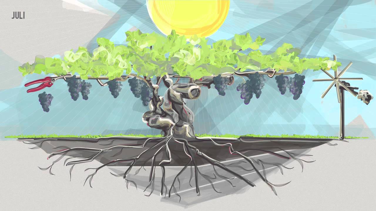 Weinstock Animation - YouTube