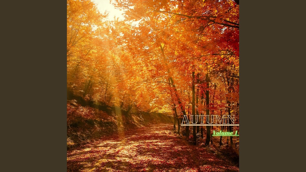 Faded Shadows - YouTube