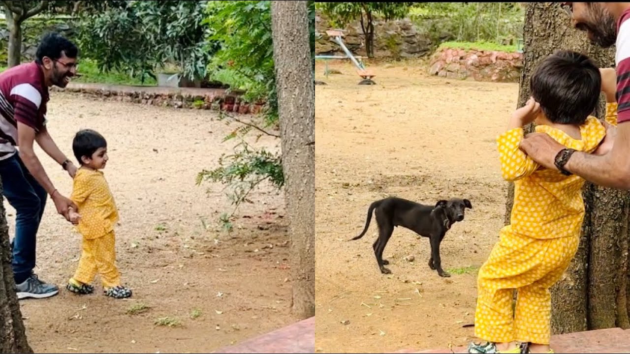 Meghana Raj Son Raayan Playing With Dog Cute Video ️ | Chiranjeevi ...