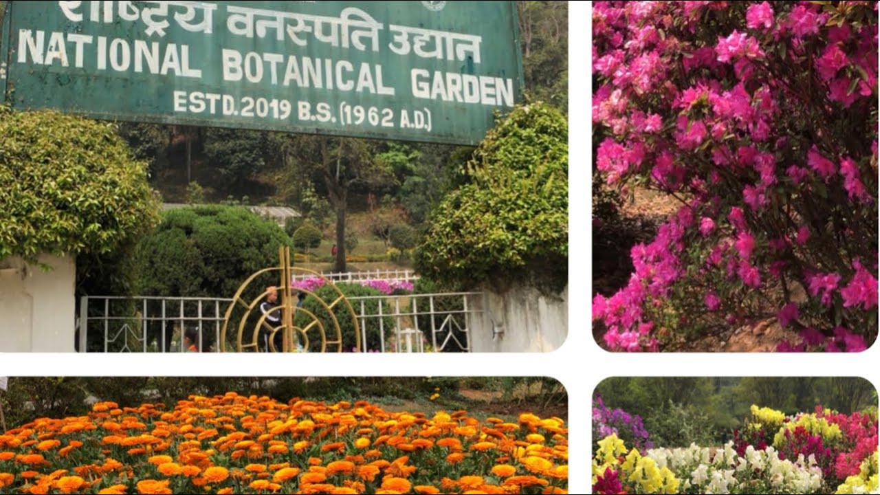 Godawari National Botanical Garden with a tropical house - YouTube