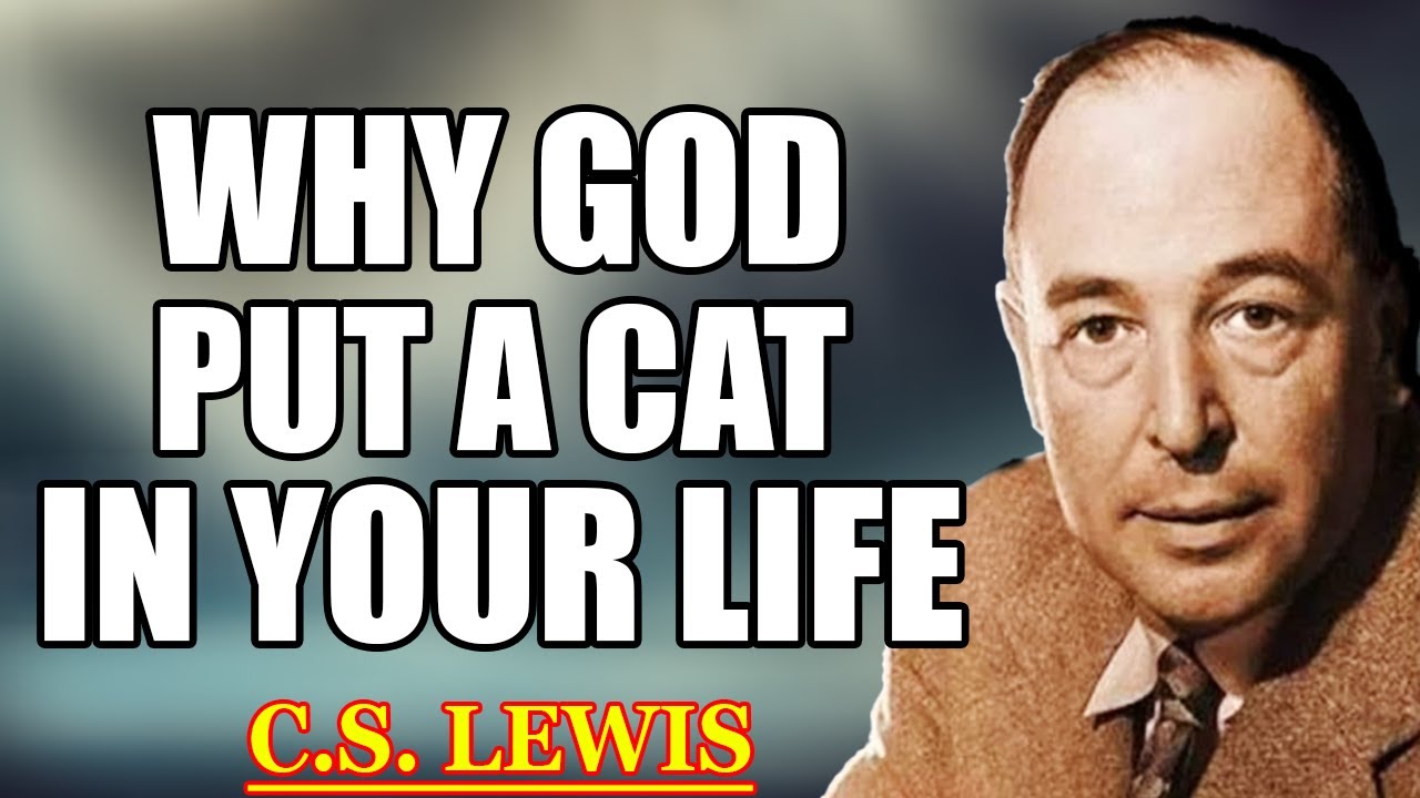 Why Did God Bring a CAT Into Your Life? Exploring the Spiritual Meaning ...
