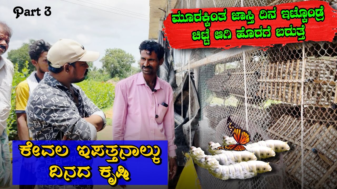 ಕೇವಲ 24 ದಿನಗಳಲ್ಲಿ ನಮಗೆ ರೇಷ್ಮೆ ಬೆಳೆ ಸಿಕ್ಬಿಡುತ್ತೆ | ಲಕ್ಷ ಲಕ್ಷ ಆದಾಯ | Part ...
