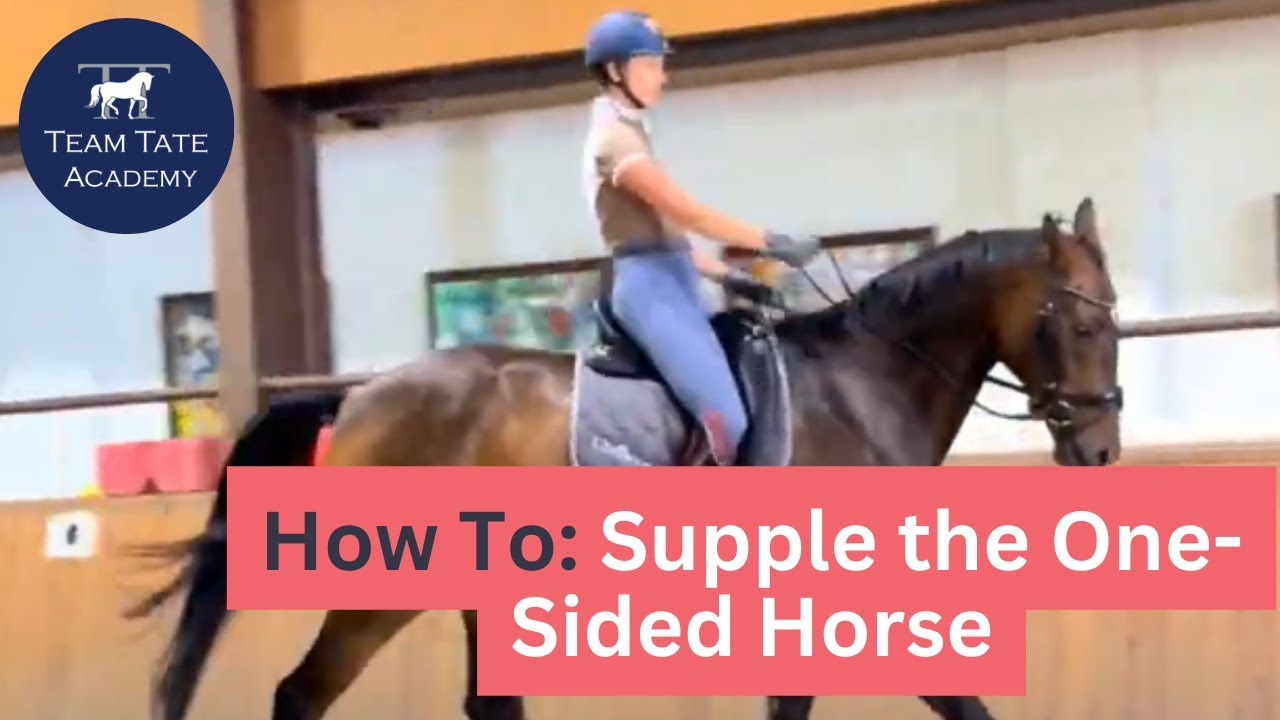 Suppling the One-Sided Horse with Beau - YouTube