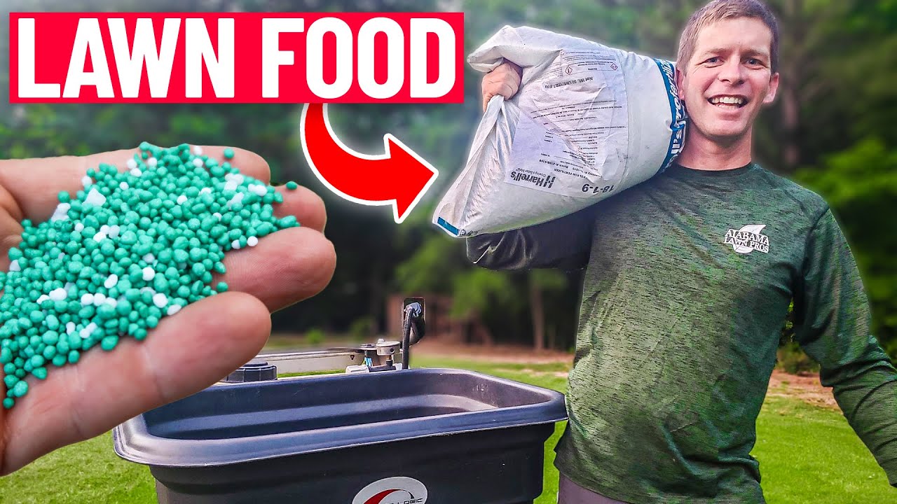 Fertilizing Lawn for Beginners - My Fertilization Plan - YouTube