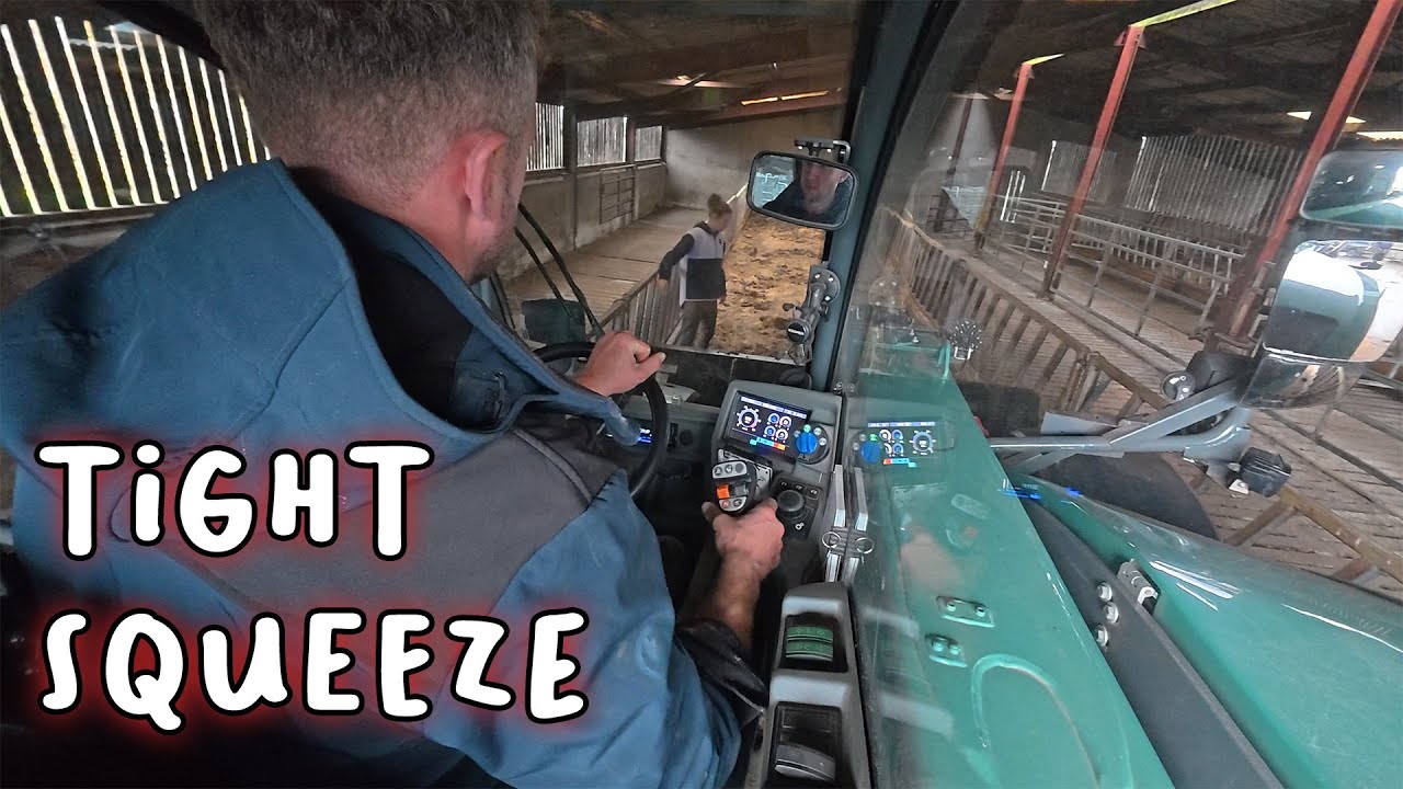 Getting our SLATTED SHED read for over 100 CATTLE! - YouTube