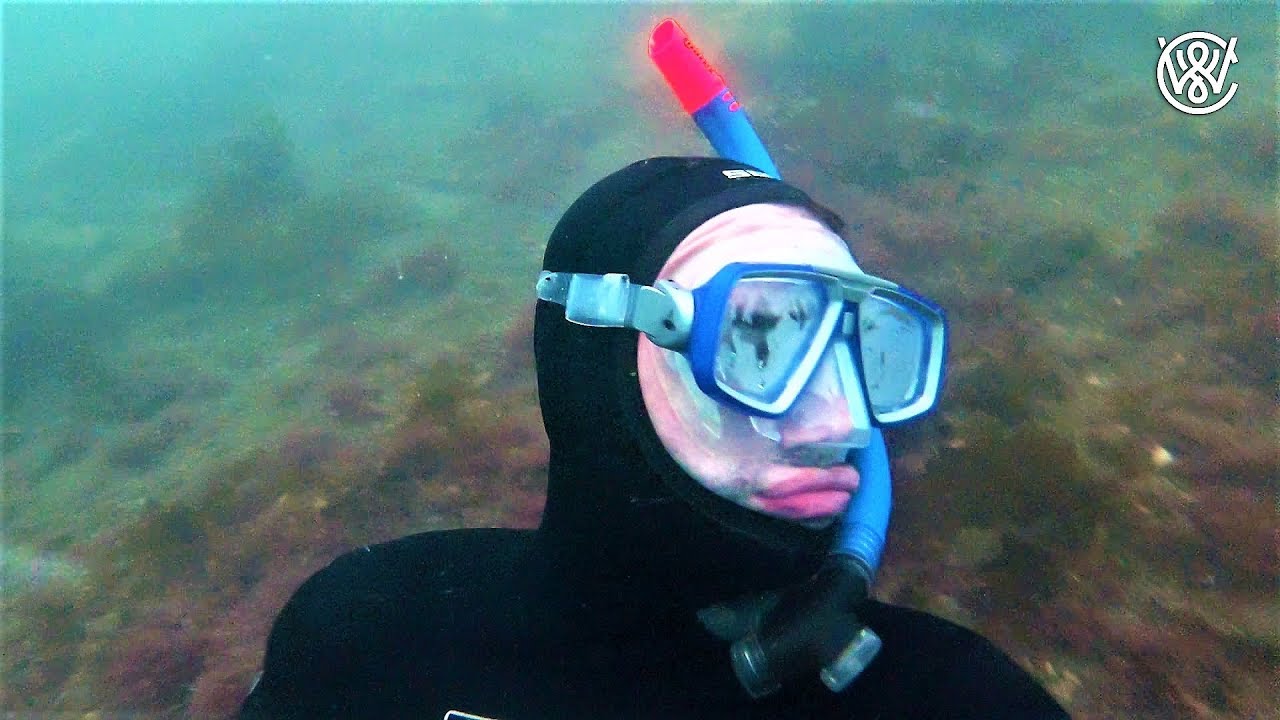 Freediving To Find a Wreck With Almost No Visibility - Finding Fish ...