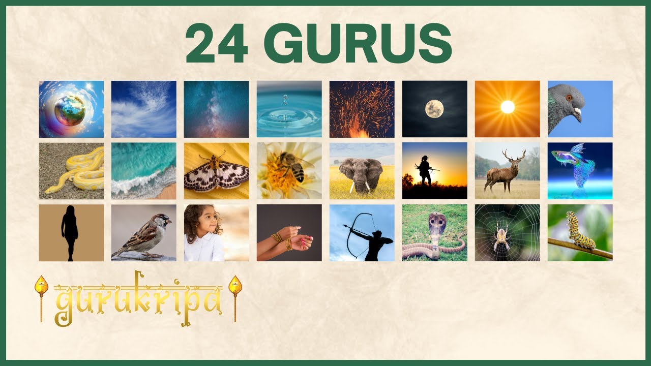 24 Gurus - YouTube