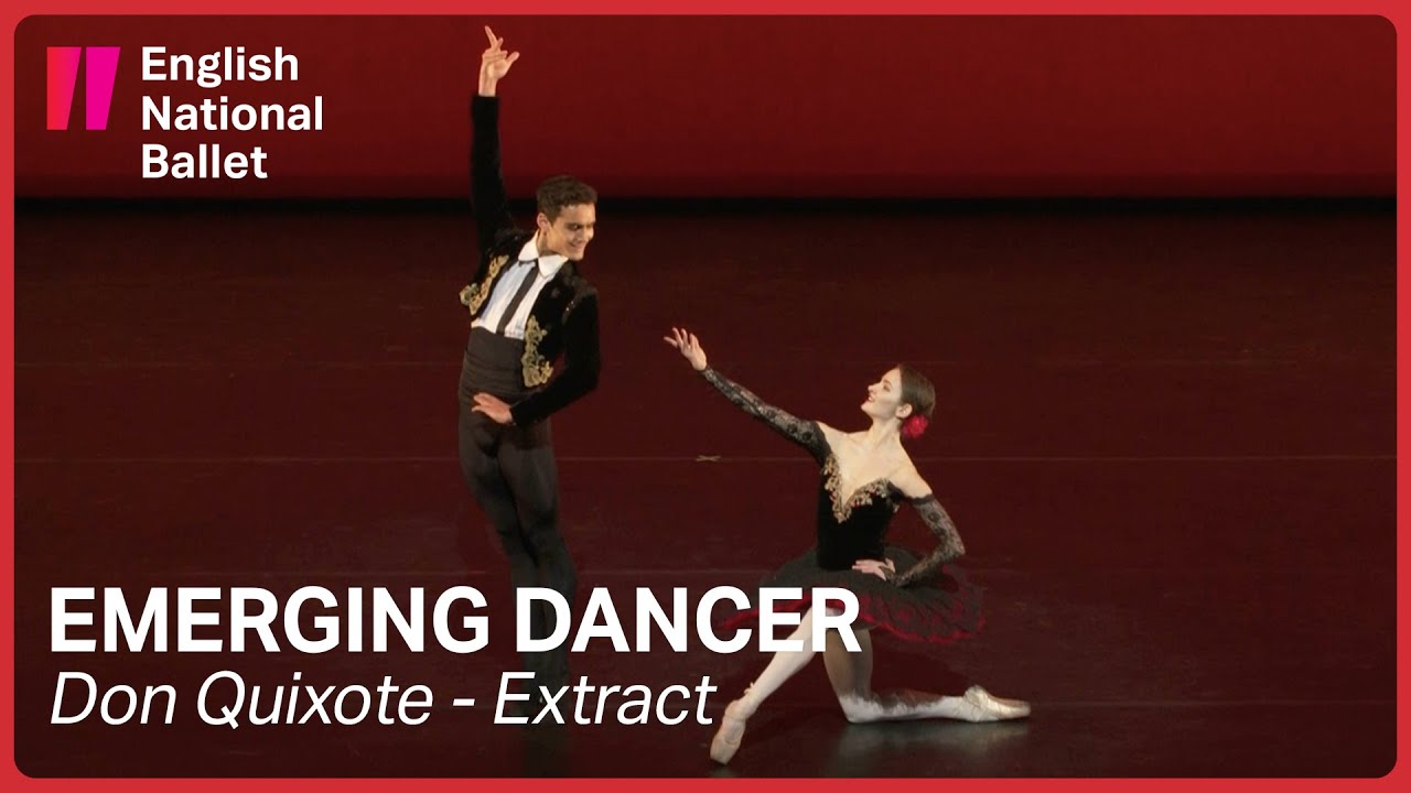 Don Quixote pas de deux: Daniel McCormick and Francesca Velicu ...