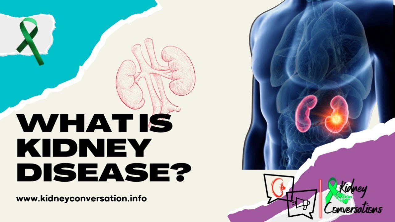 what-is-kidney-disease-youtube