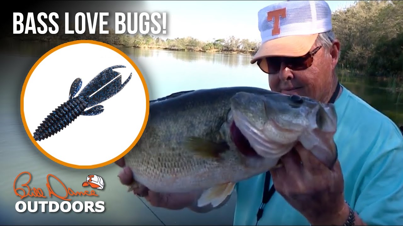 Bass Love Bugs! | Bill Dance Outdoors - YouTube