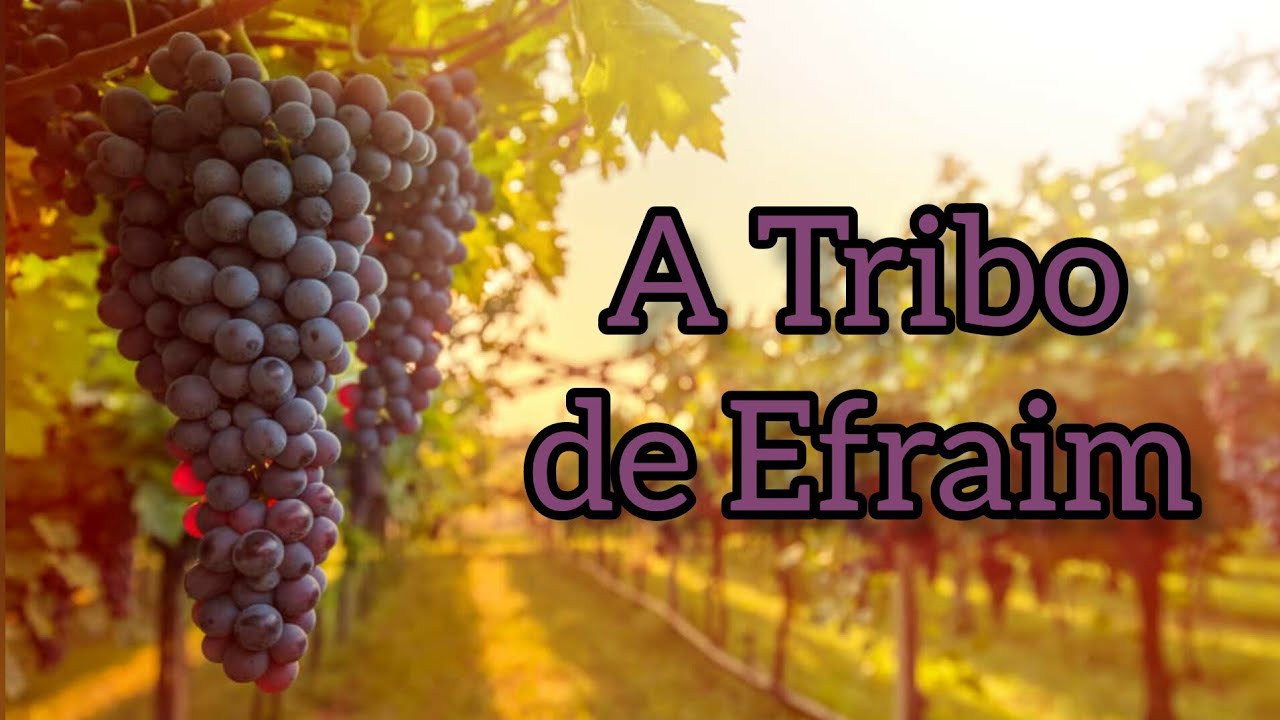 AS 12 TRIBOS DE ISRAEL #11: A Tribo de Efraim - A CASA DE JOSÉ PARTE 2 ...