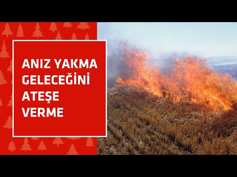 Anız yakma, geleceğini ateşe verme.