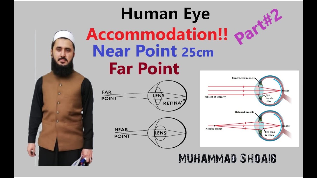 Human Eye Part 2 |Lec#16 |Class 10 |Geometrical Optics - YouTube