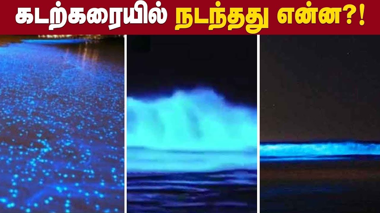 Chennai Thiruvanmiyur Beach in Blue Color | Connecting Network - YouTube
