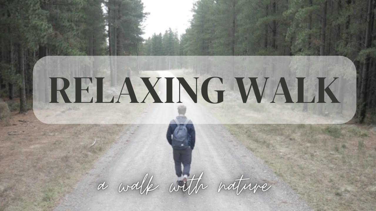 30 minutes walk with nature | Relaxation | Stress control - YouTube