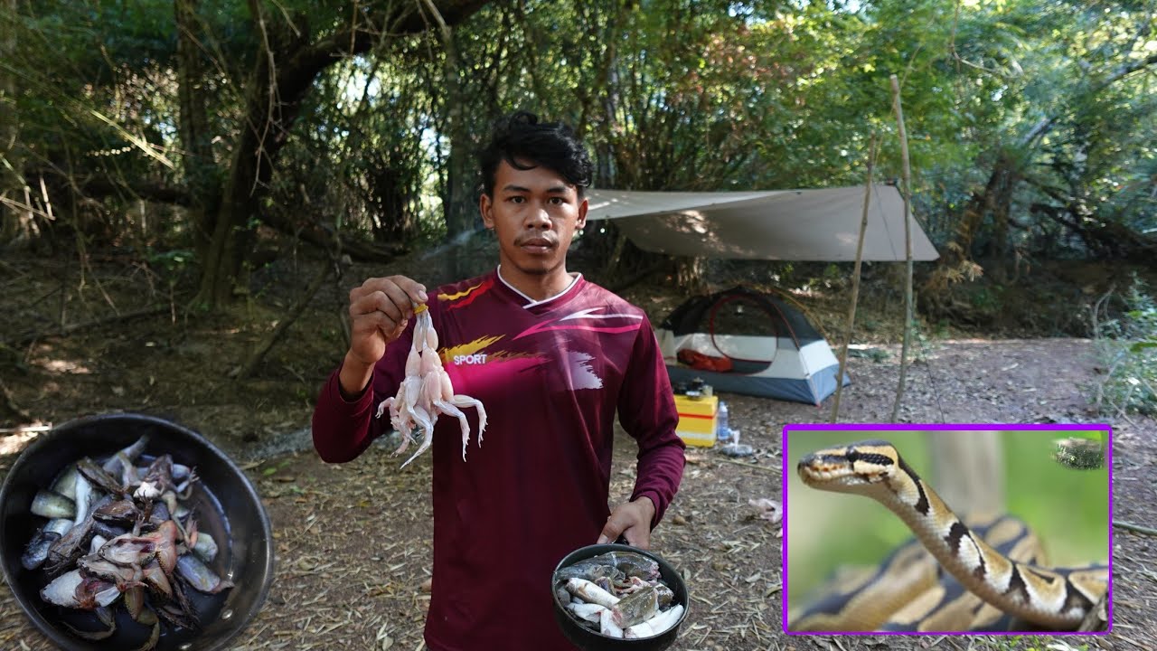 One night and two days, release the python's stomach into the forest to ...