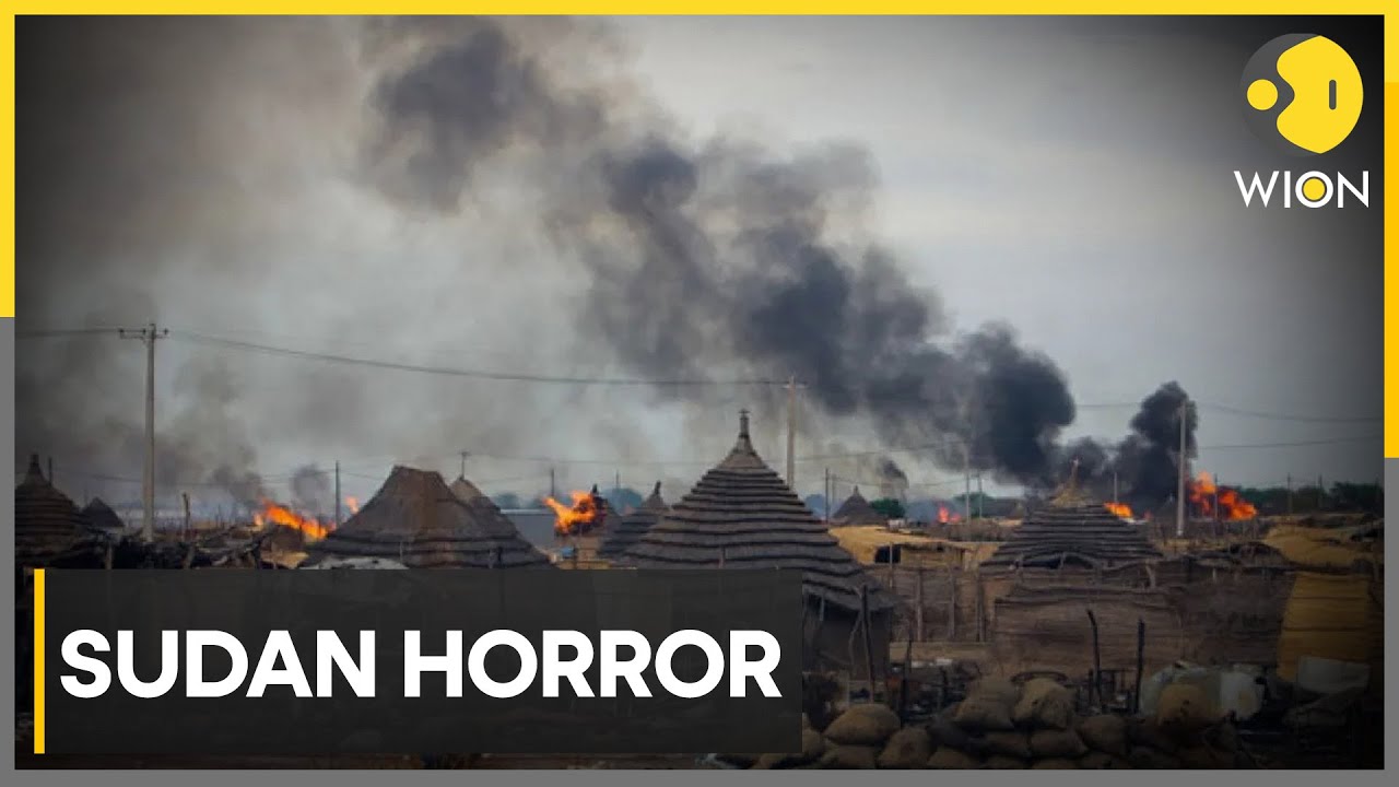 Sudan Horror: Videos Show Horrors Unfolding in Sudan | Wion - YouTube