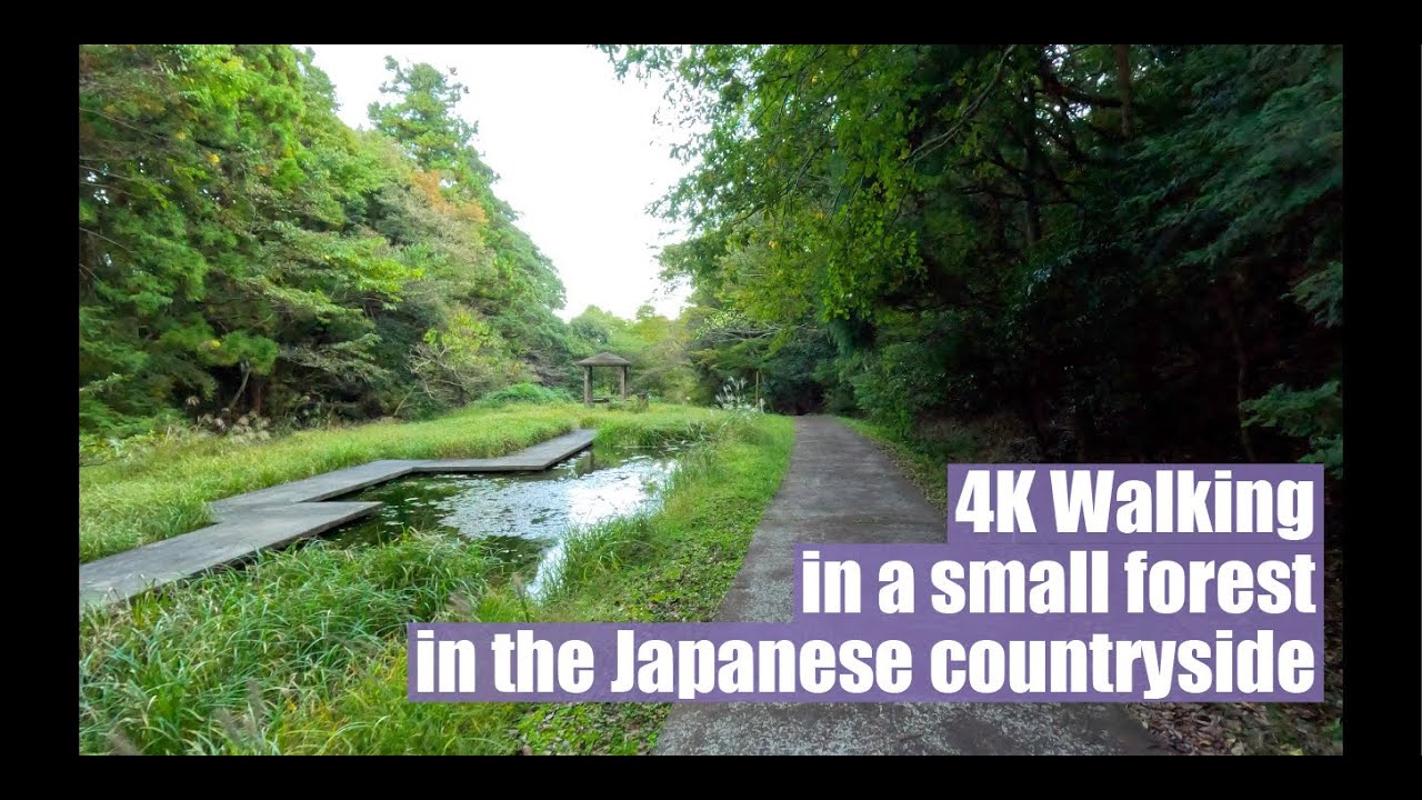 【4K Japan Local Walking】- Walking in a small forest in the Japanese ...