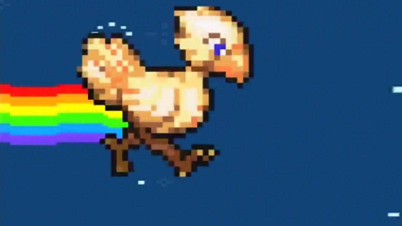 nyan bird - YouTube
