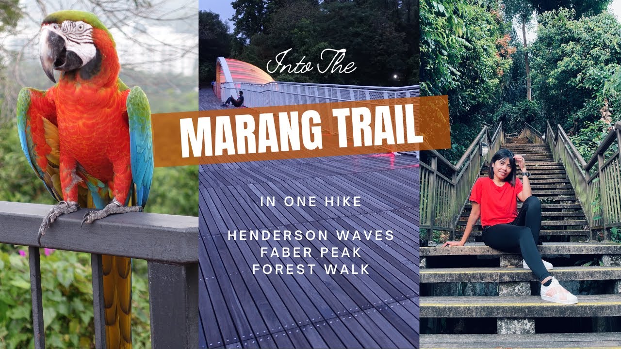 MARANG TRAIL : Visited Henderson Waves and Forest walk | ABIEYANG - YouTube
