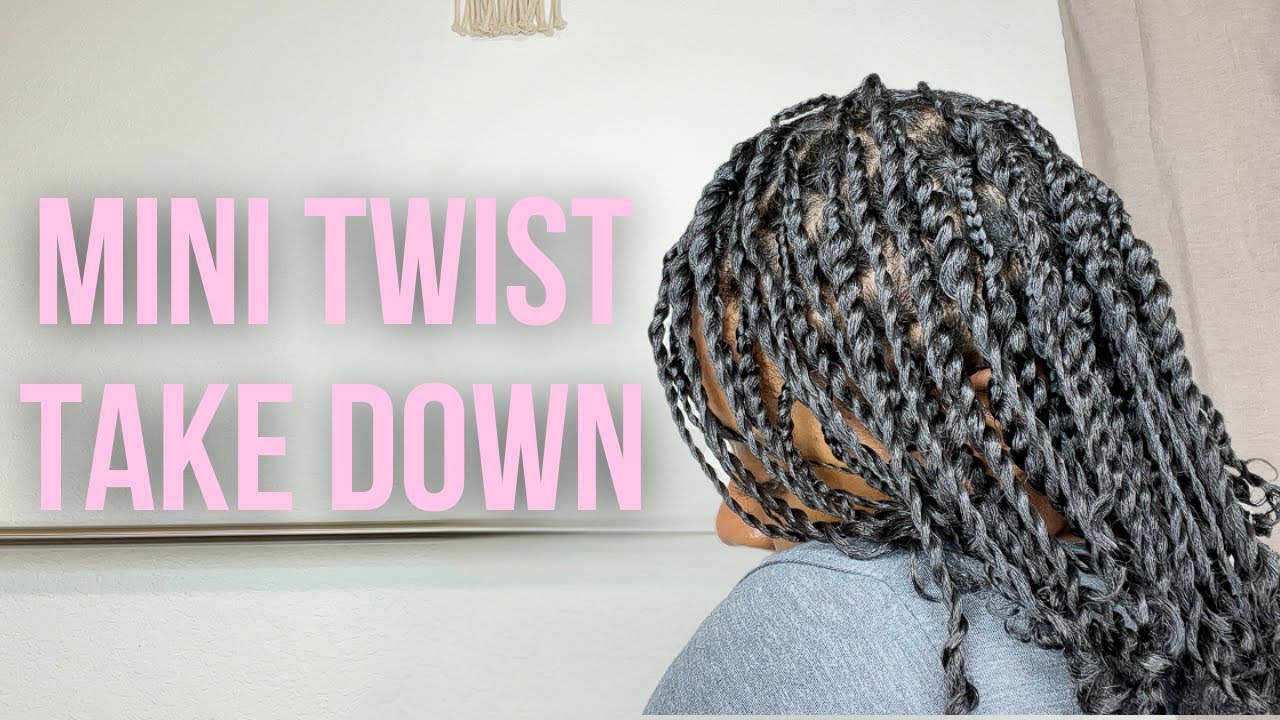 Mini Twist Take Down | Easy Twist Out Styles - YouTube
