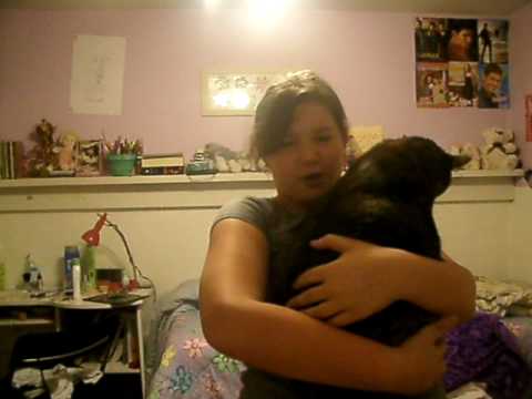 tinkerbell is fat help!!!!!!!!!!!! - YouTube