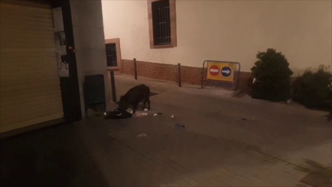 Corbera de Llobregat, Barcelona!!! - YouTube