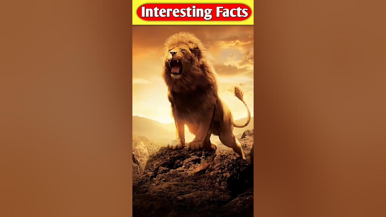 Interesting Facts About Animal Crazy Facts Random Facts shorts interesting-facts-about-animal-crazy-facts-random-facts-shorts