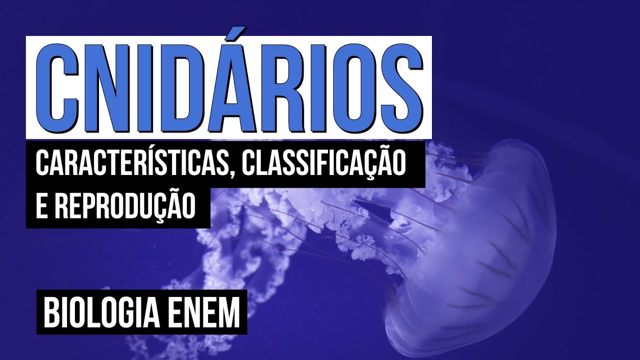 CNIDÁRIOS: características, classificação e reprodução | Biologia para ...