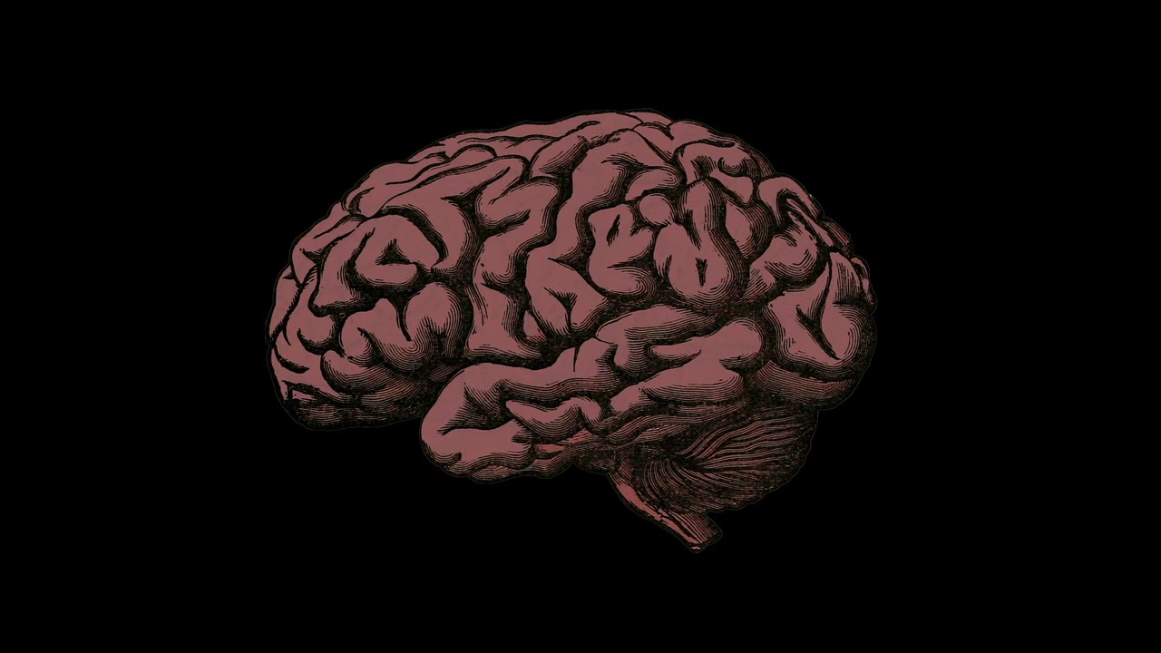 Your Brain on God: How Faith Affects Your Brain Chemistry - YouTube