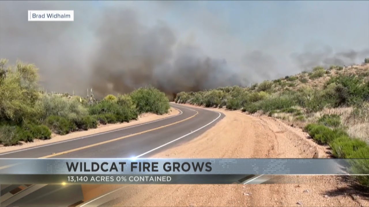 Wildcat fire near Tonto National Forest has surpassed 14,000 acres after burning for 48 hours ...