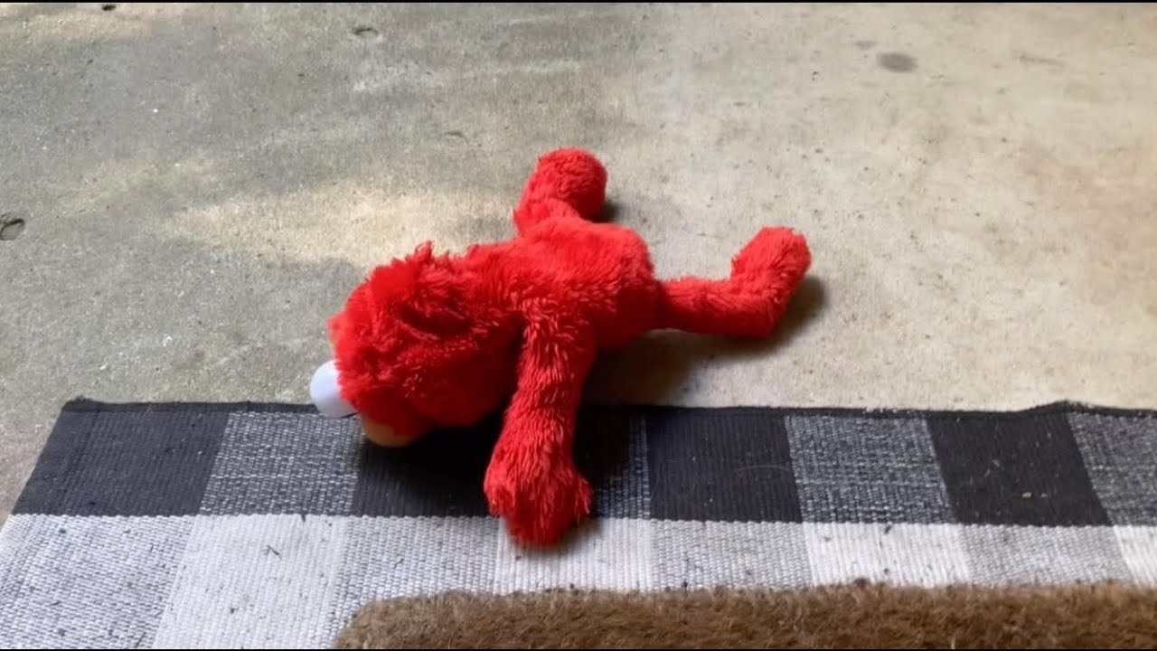Elmo’s Worst Enemy Shows Up - YouTube