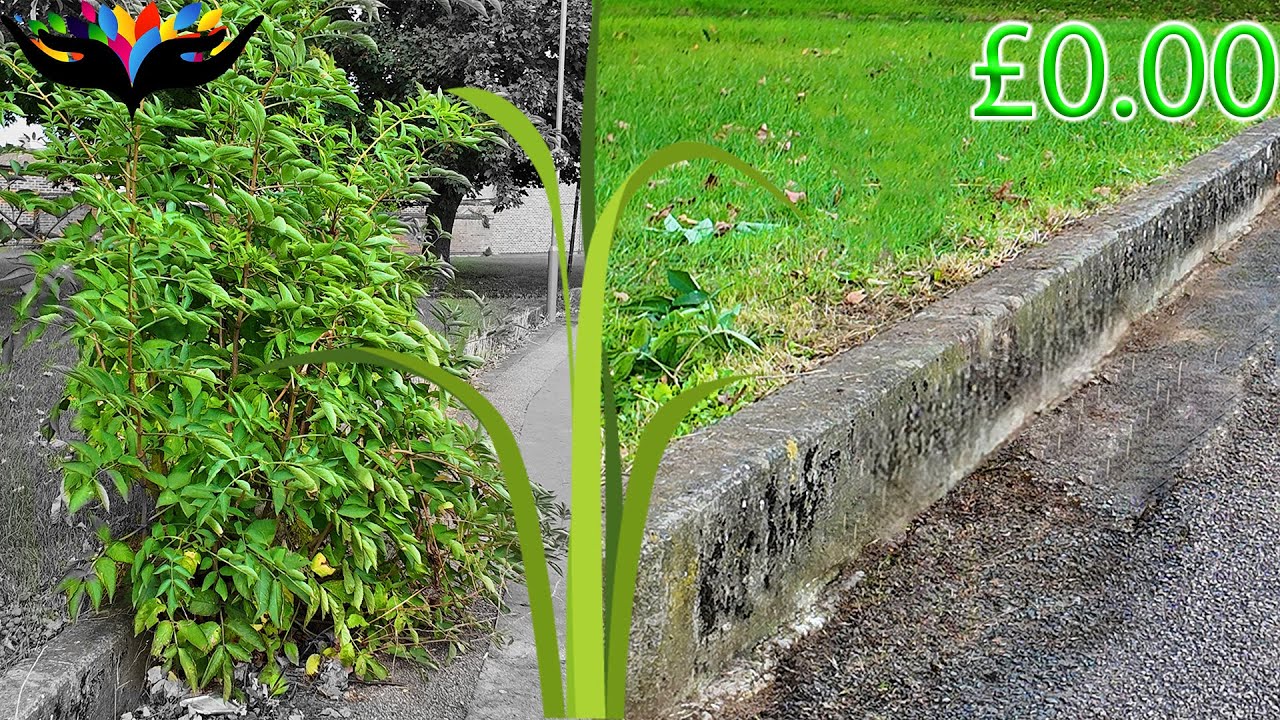 Council cut backs FREE community clean up Tree removal - YouTube