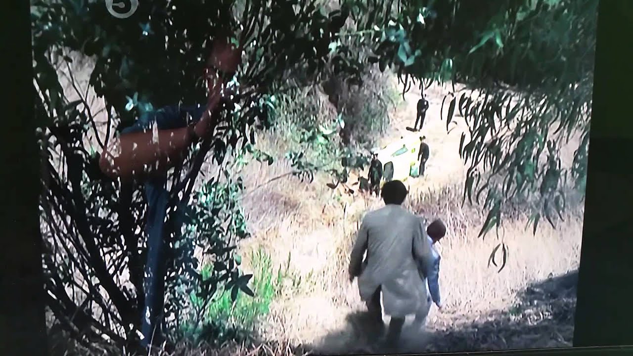 Columbo falls down a hill - YouTube