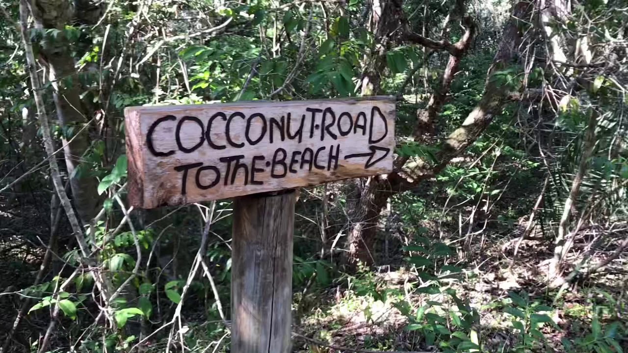 MOZAM - SOUTH AFRICA BORDER WEEK - YouTube